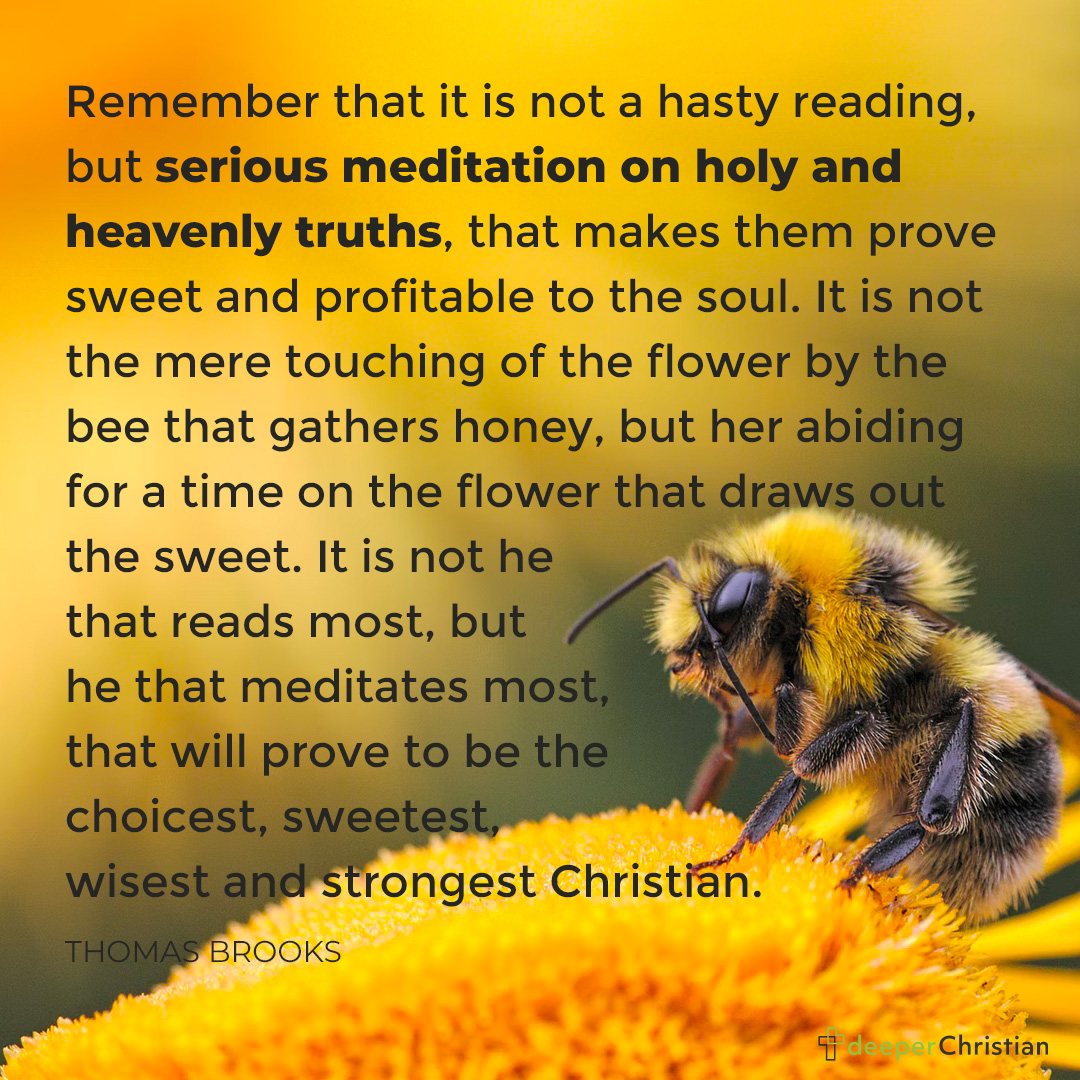 Be a Bee in the Bounty of the Bible - Deeper Christian