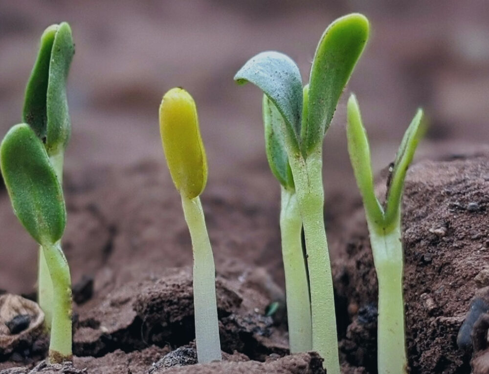 Spiritual Refreshment - Deeper Christian