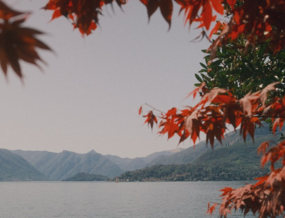 The King is Coming … Again! - Deeper Christian