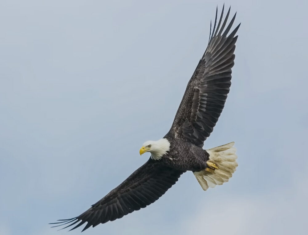 Knowing God's Faithfulness (10 Ways to Grow Spiritually) - Deeper Christian